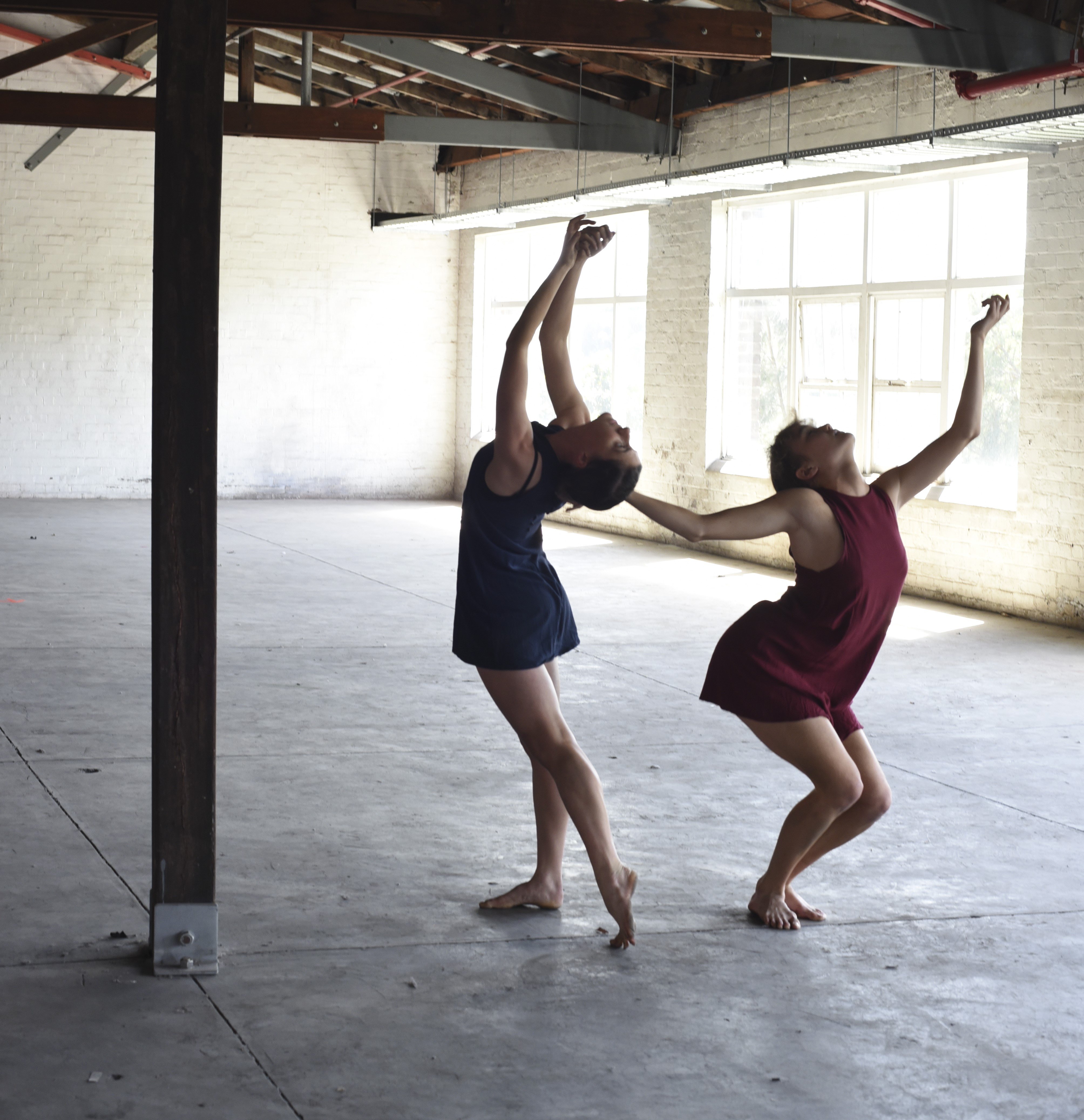 WILDEBEEST and VALLEY - FORM Dance Projects